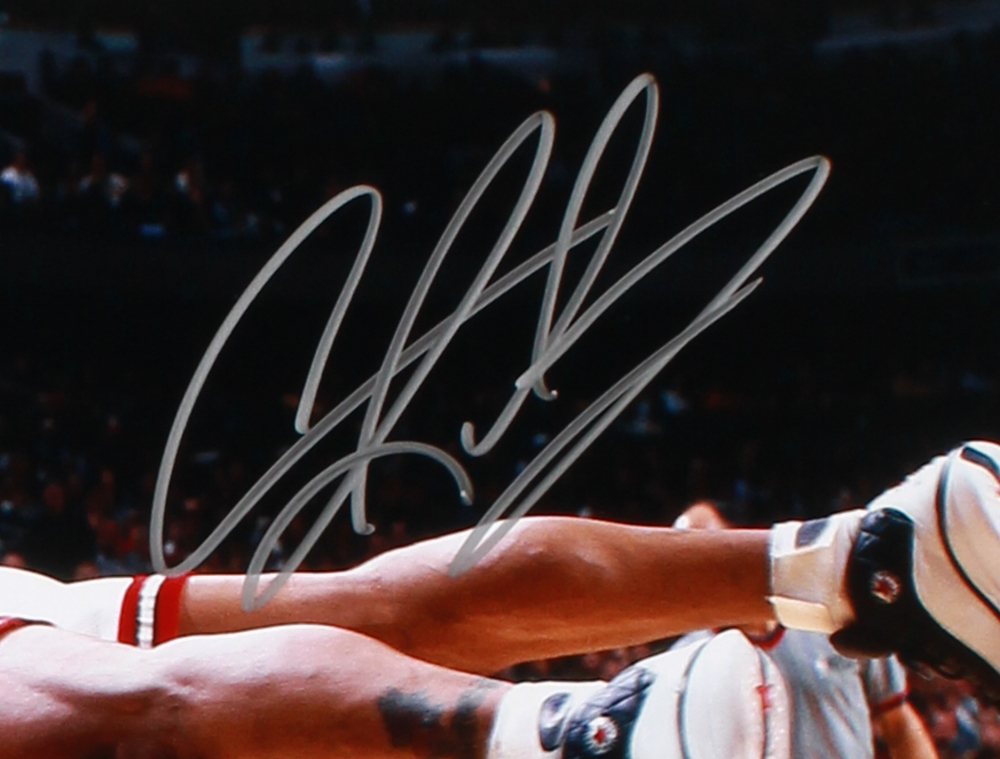 Dennis Rodman Signed Bulls 16x20 Photo (Schwartz COA) | Pristine Auction