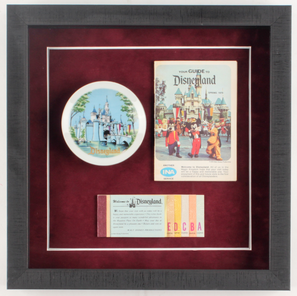 Disneyland 13.5x13.5x2 Custom Framed Porcelain Plate Shadow Box Display ...