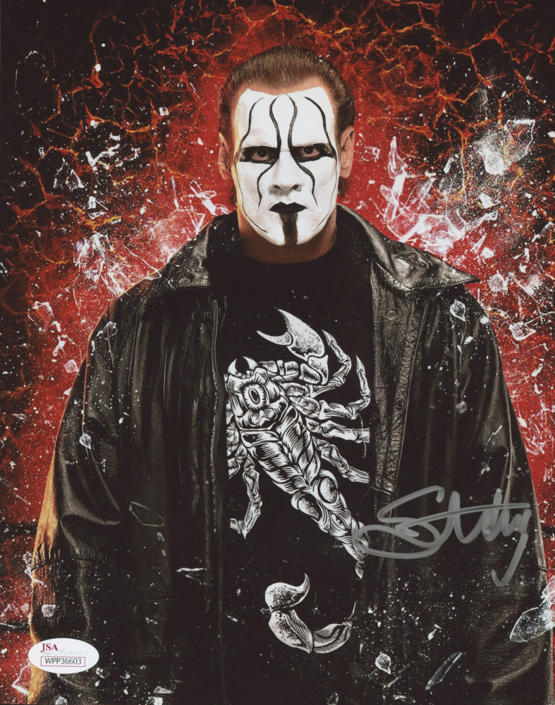 Steve "Sting" Borden Signed WWE 8x10 Photo (JSA COA) | Pristine Auction