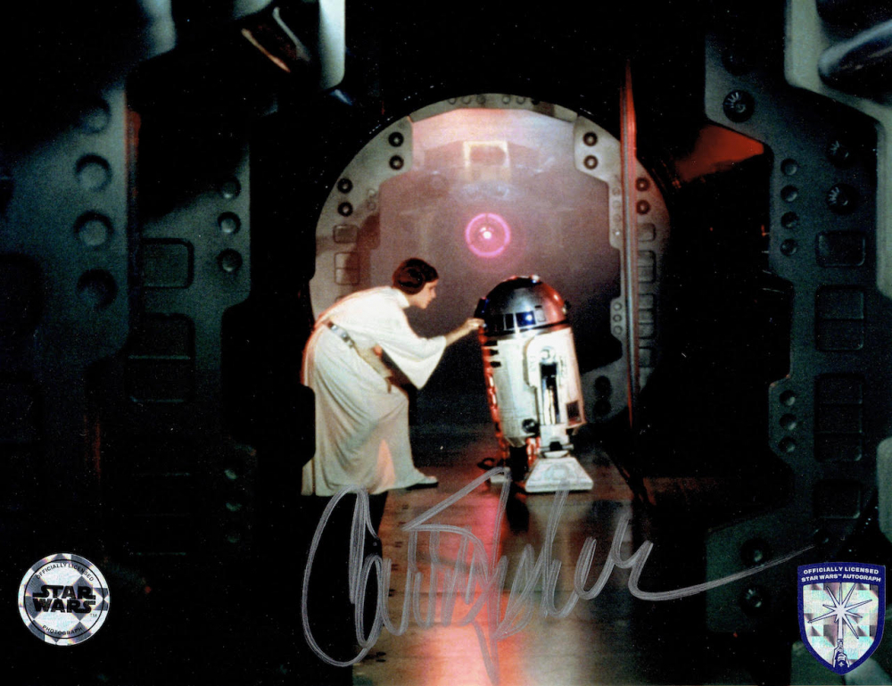 Mystery Ink Hollywood 8x10 Photo Edition! 1 Celebrity Signed 8x10 ...