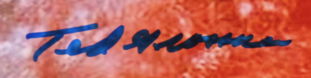 Ted Grossman Signed "Jaws" 11x17 Movie Poster Photo (JSA COA ...