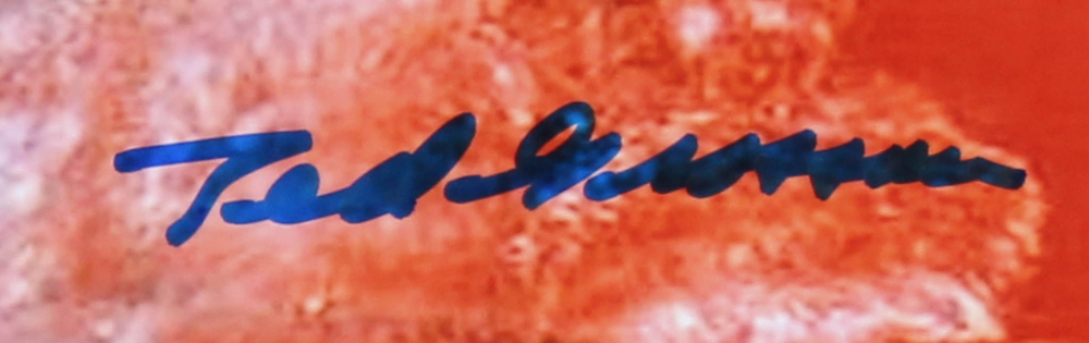 Ted Grossman Signed "Jaws" 11x17 Movie Poster Photo (JSA COA ...