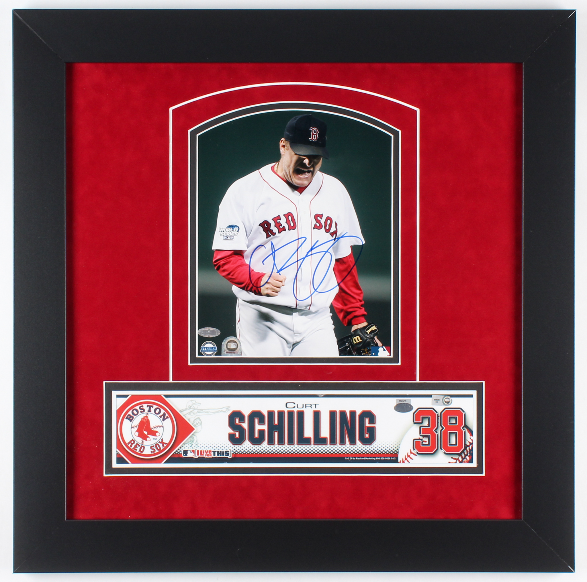 Curt Schilling Signed Red Sox 2004 World Series 21.5x21.5 Custom Framed ...