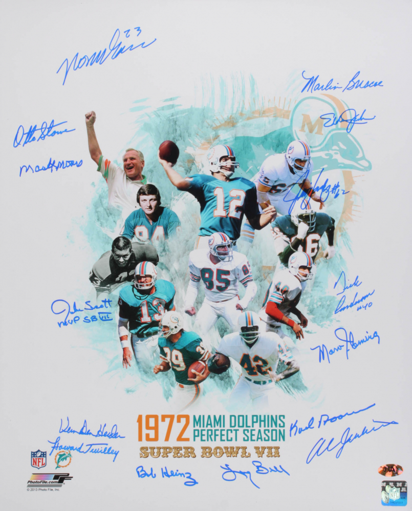 1972 Dolphins 16x20 Photo Signed by (15) with Mercury Morris, Jim ...