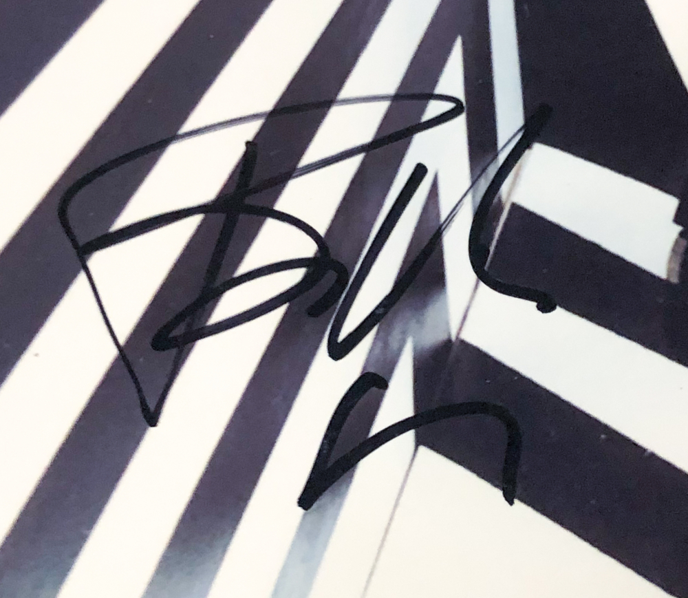 Billie Joe Armstrong Signed Green Day 11x14 Photo (PSA COA) | Pristine ...