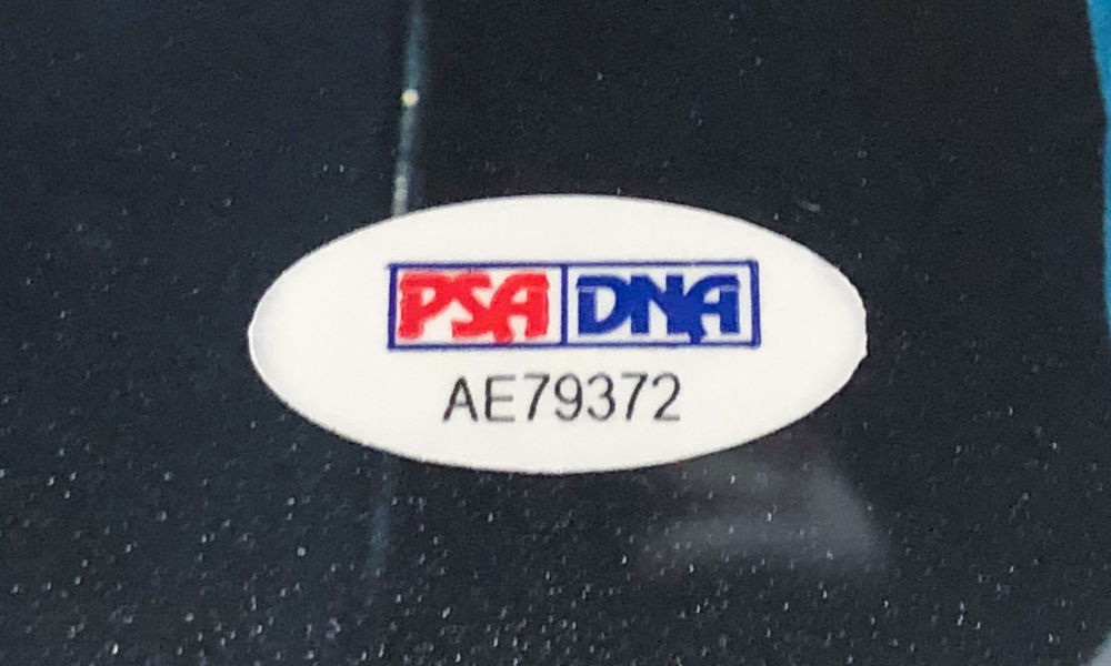 Isla Fisher Signed "Now You See Me" 11x14 Photo (PSA COA) | Pristine ...