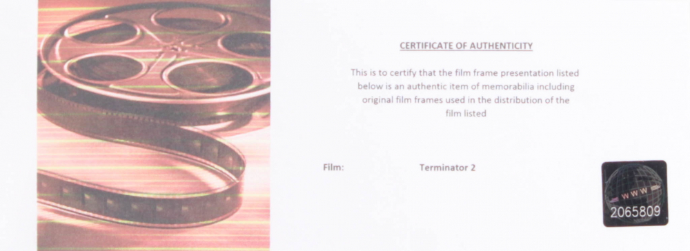 "Terminator 2: Judgment Day" Limited Edition Original Film/Movie Cell ...