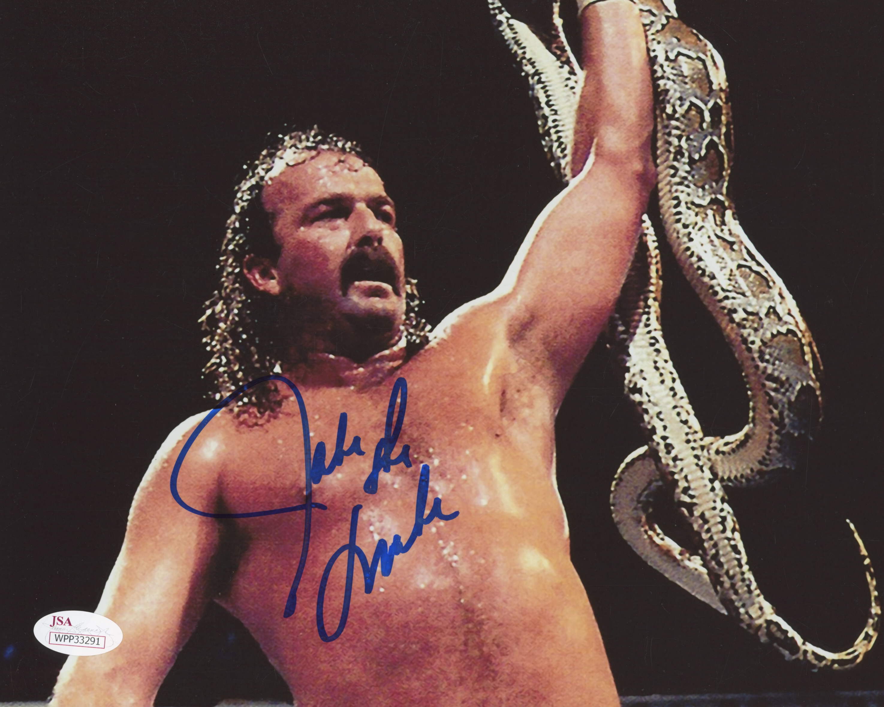 Jake "The Snake" Roberts Signed WWE 8x10 Photo (JSA COA) | Pristine Auction