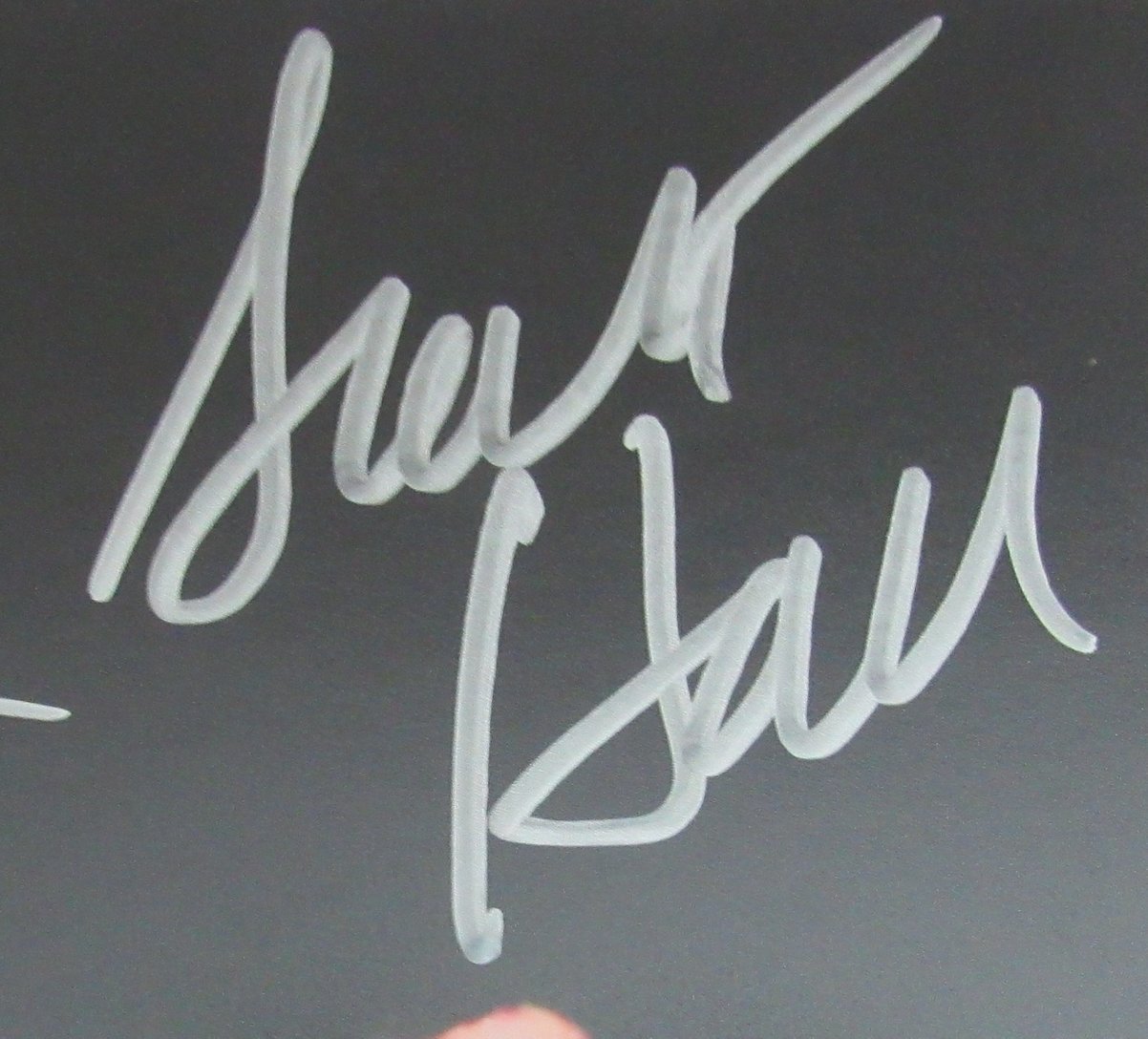 Kevin Nash, Scott Hall, & X-Pac Signed WWE 11x14 Photo (JSA COA ...