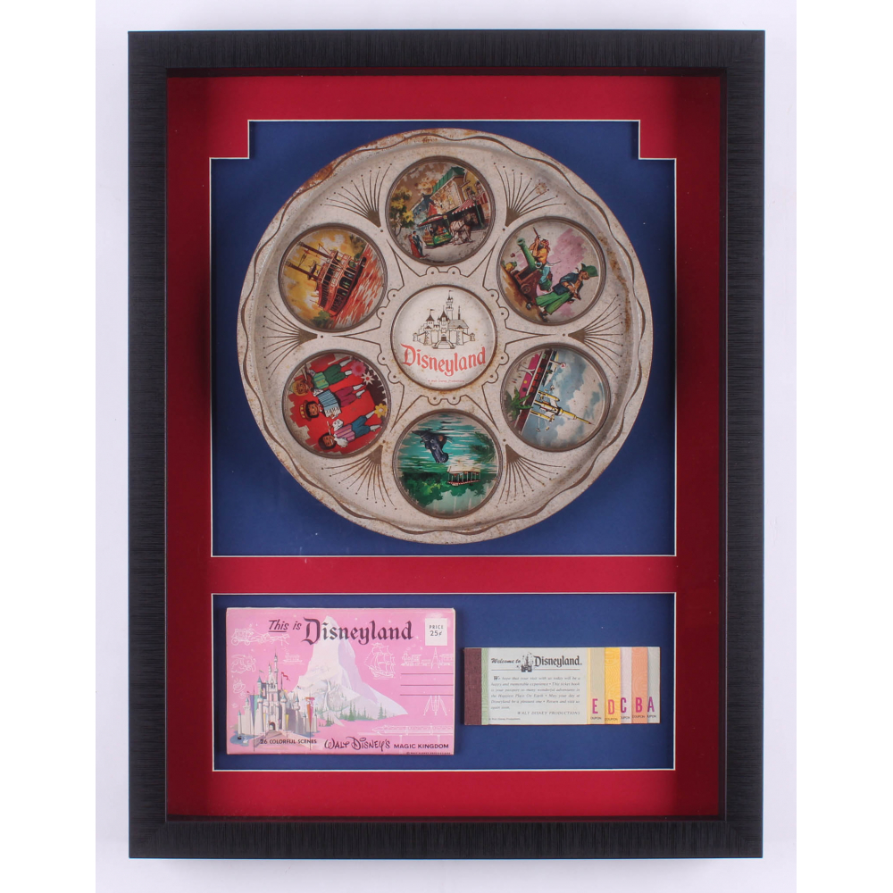 Disneyland 16.5x21.5x2 Custom Framed Metal Serving Tray Shadow Box ...