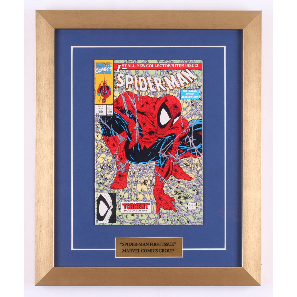 Vintage 1990 "The Amazing Spider-Man: Torment Part 1" Issue #1 14x17 ...