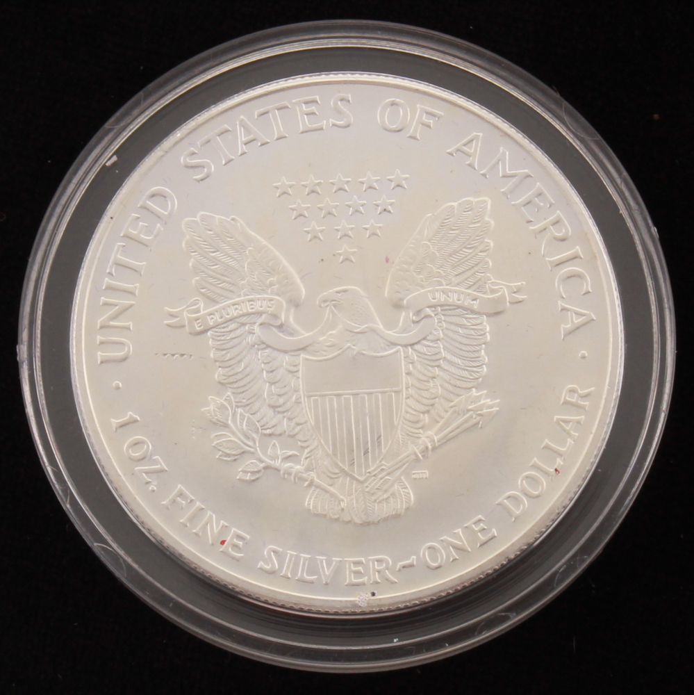1999 Colorized American Silver Eagle Dollar with Display Case ...