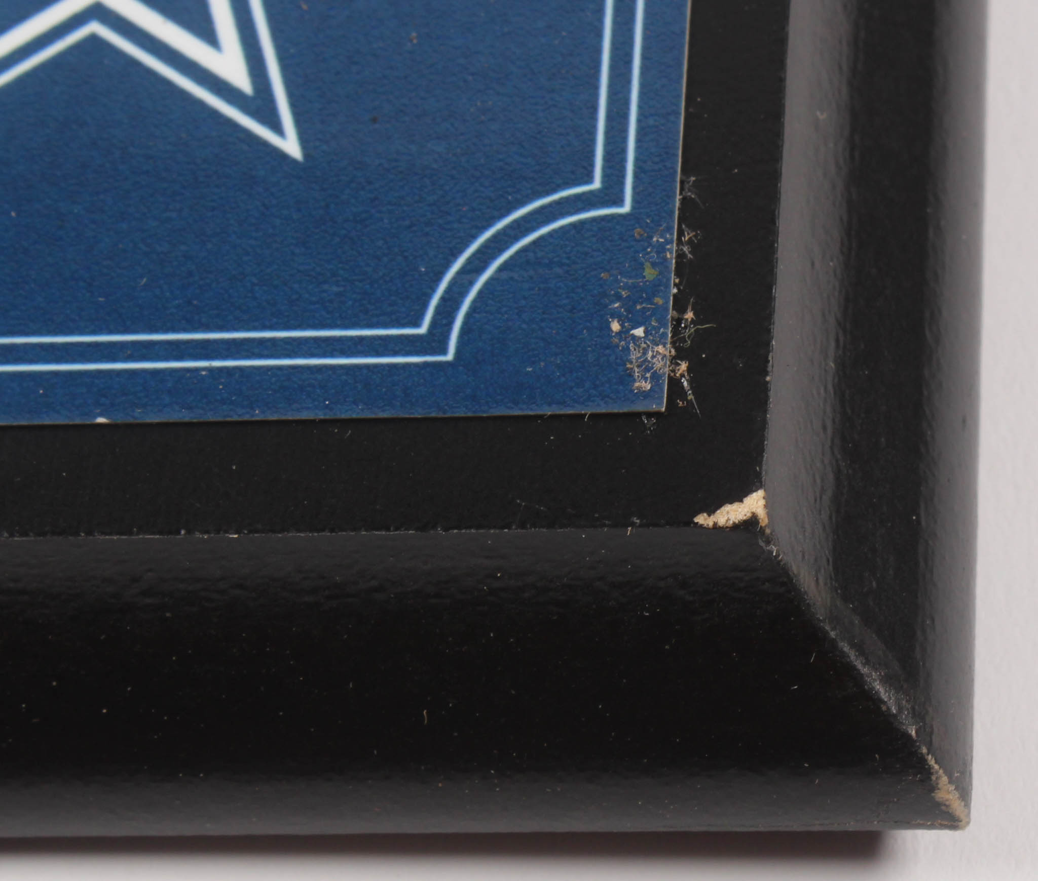 Dallas Cowboys Texas Stadium "The Farewell" Final Season 8x10 Plaque ...