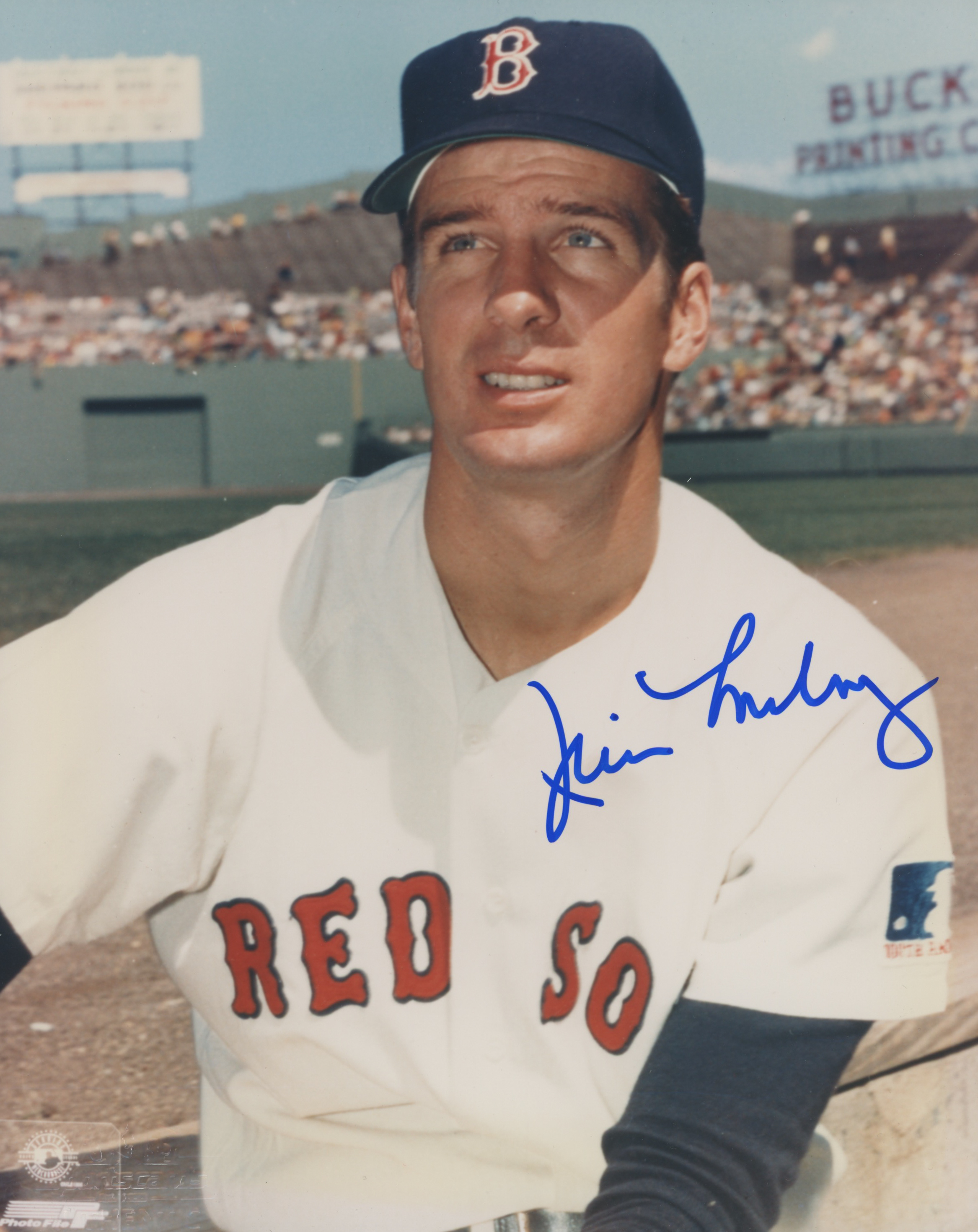 Jim Lonborg Signed Boston Red Sox 8x10 Photo (Sports Cards SOA ...