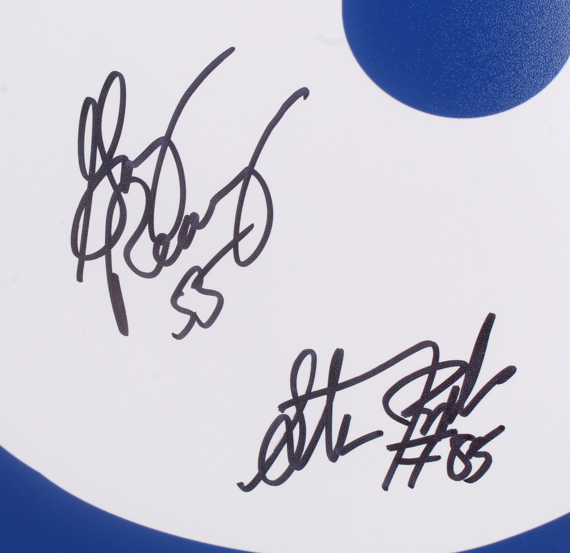 New York Giants 16x20 Photo Team-Signed by (15) with Terry Kinard, Bart ...