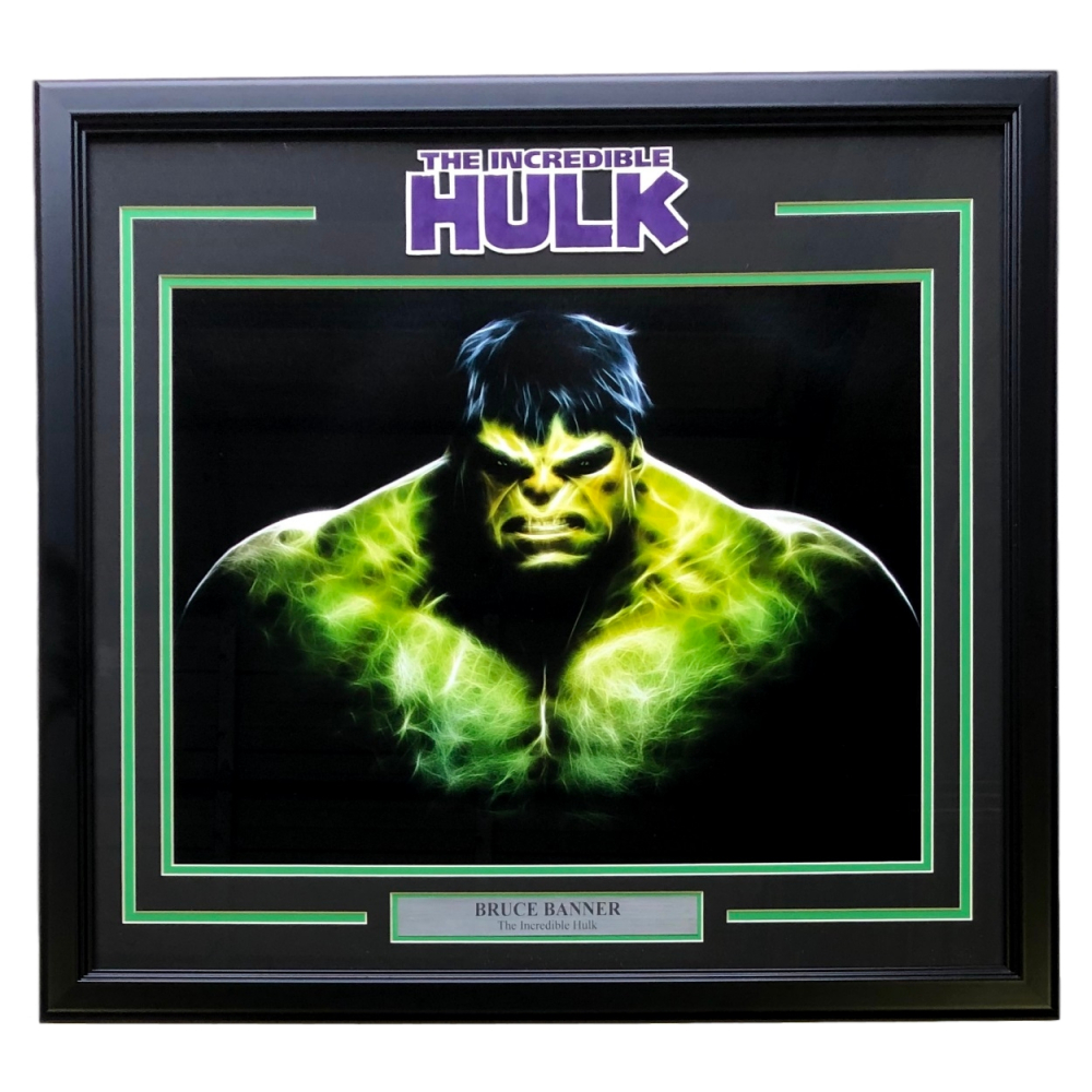 The Incredible Hulk - Bruce Banner 22x27 Custom Framed Display ...