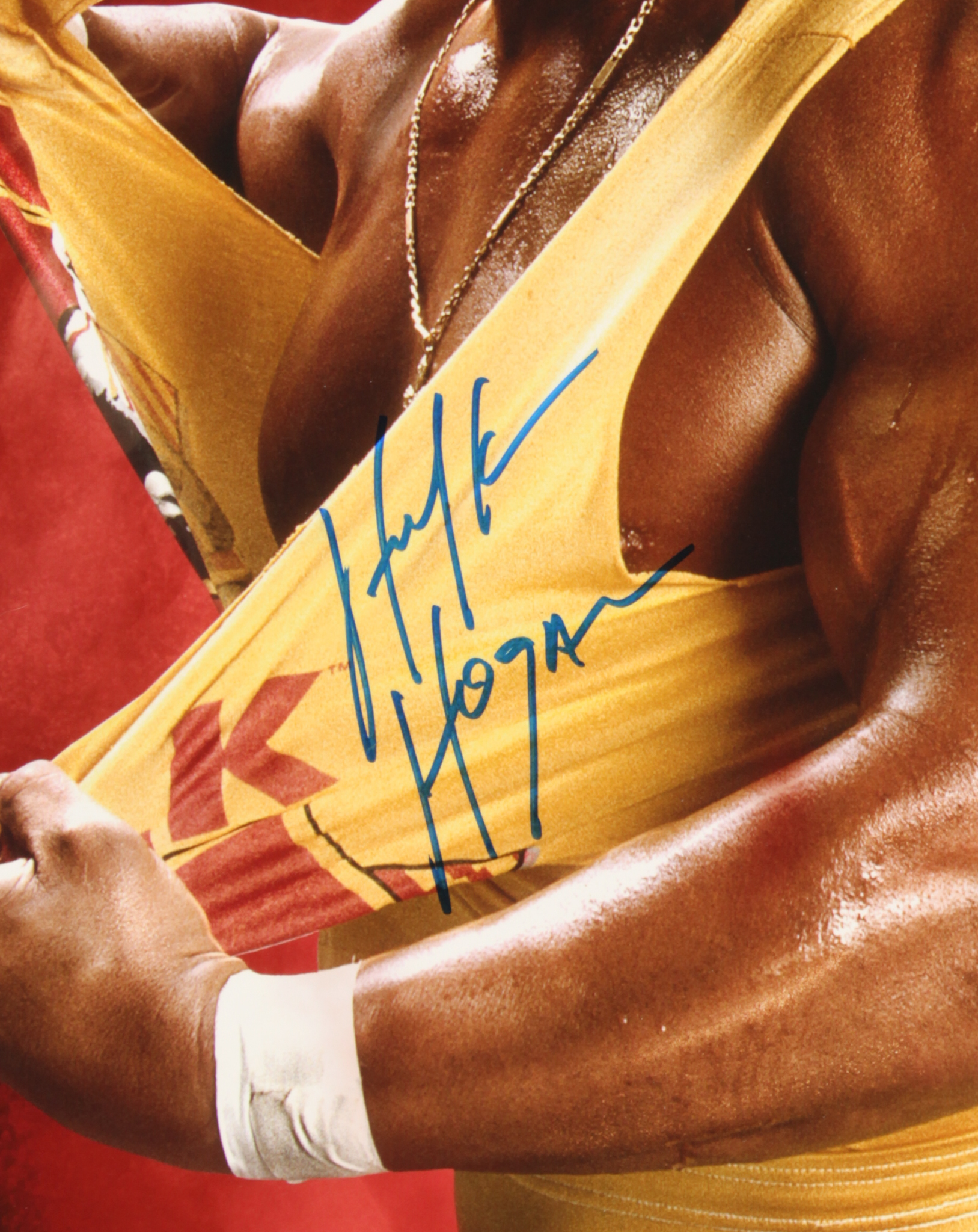 Hulk Hogan Signed WWE 16x20 Photo (PSA Hologram) | Pristine Auction