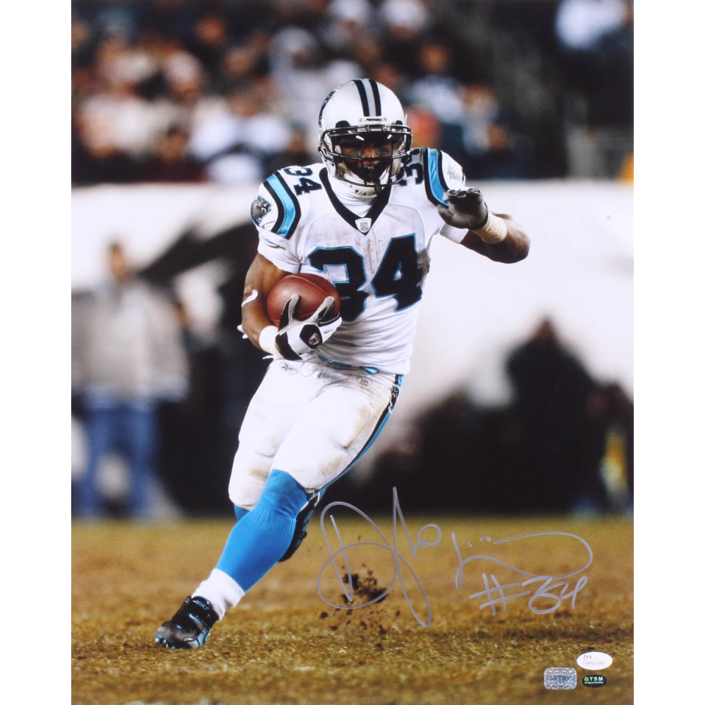 DeAngelo Williams Signed Panthers 16x20 Photo (JSA, GTSM & AAA ...