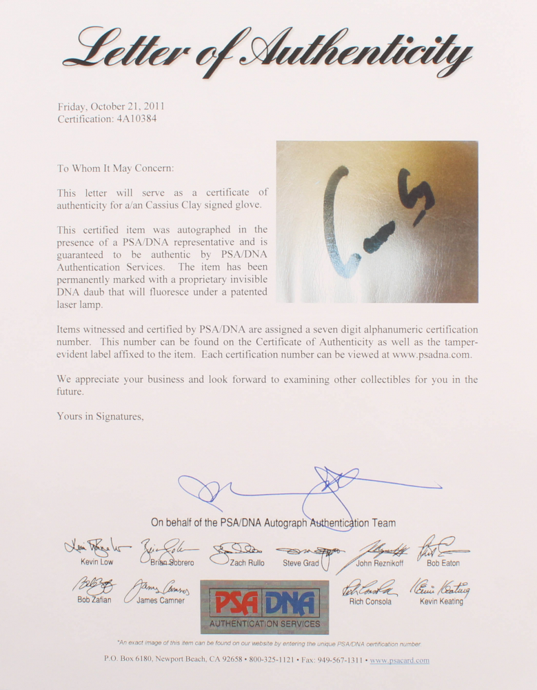 Muhammad Ali Signed “Cassius Clay“ Boxing Glove (PSA LOA) | Pristine ...