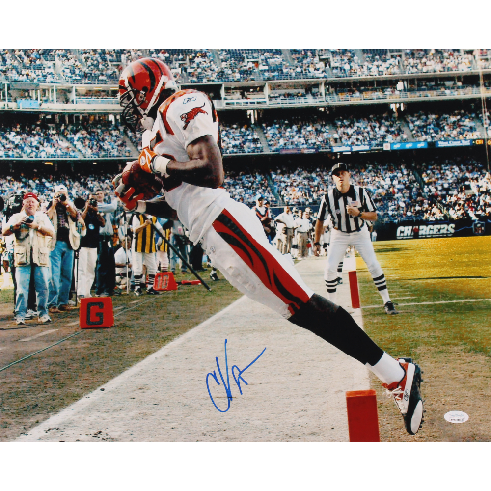 Chad "Ochocinco" Johnson Signed Cincinnati Bengals 16x20 Photo (JSA ...