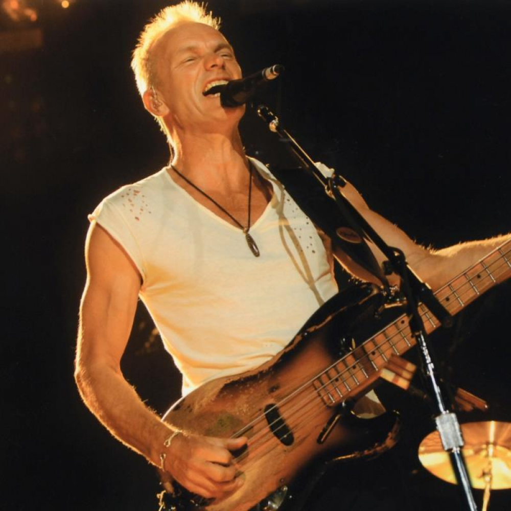 Rob Shanahan Signed "Sting" Limited Edition 32x25 Custom Framed Giclee ...