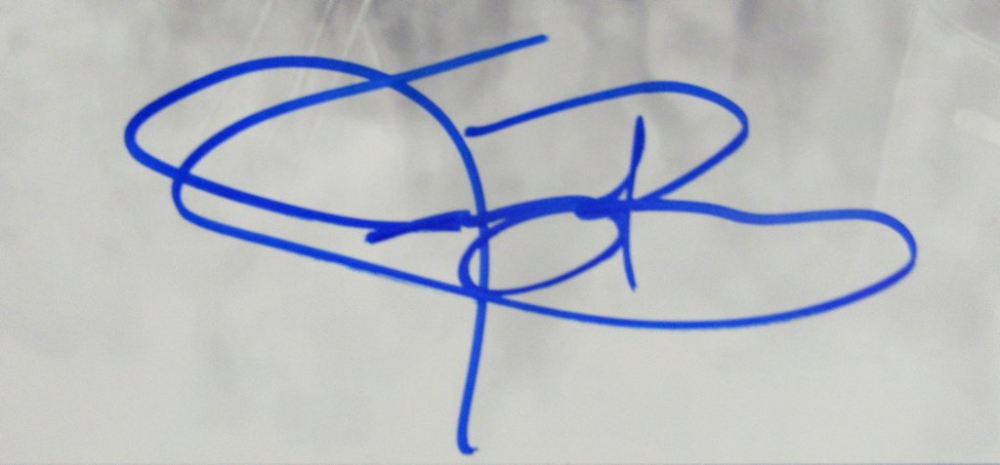 Jeremy Renner Signed "Avengers" 16x20 Photo (JSA COA) | Pristine Auction