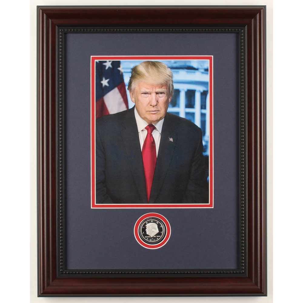 Donald Trump 15x19 Custom Framed Photo Display with 2017 Presidential ...