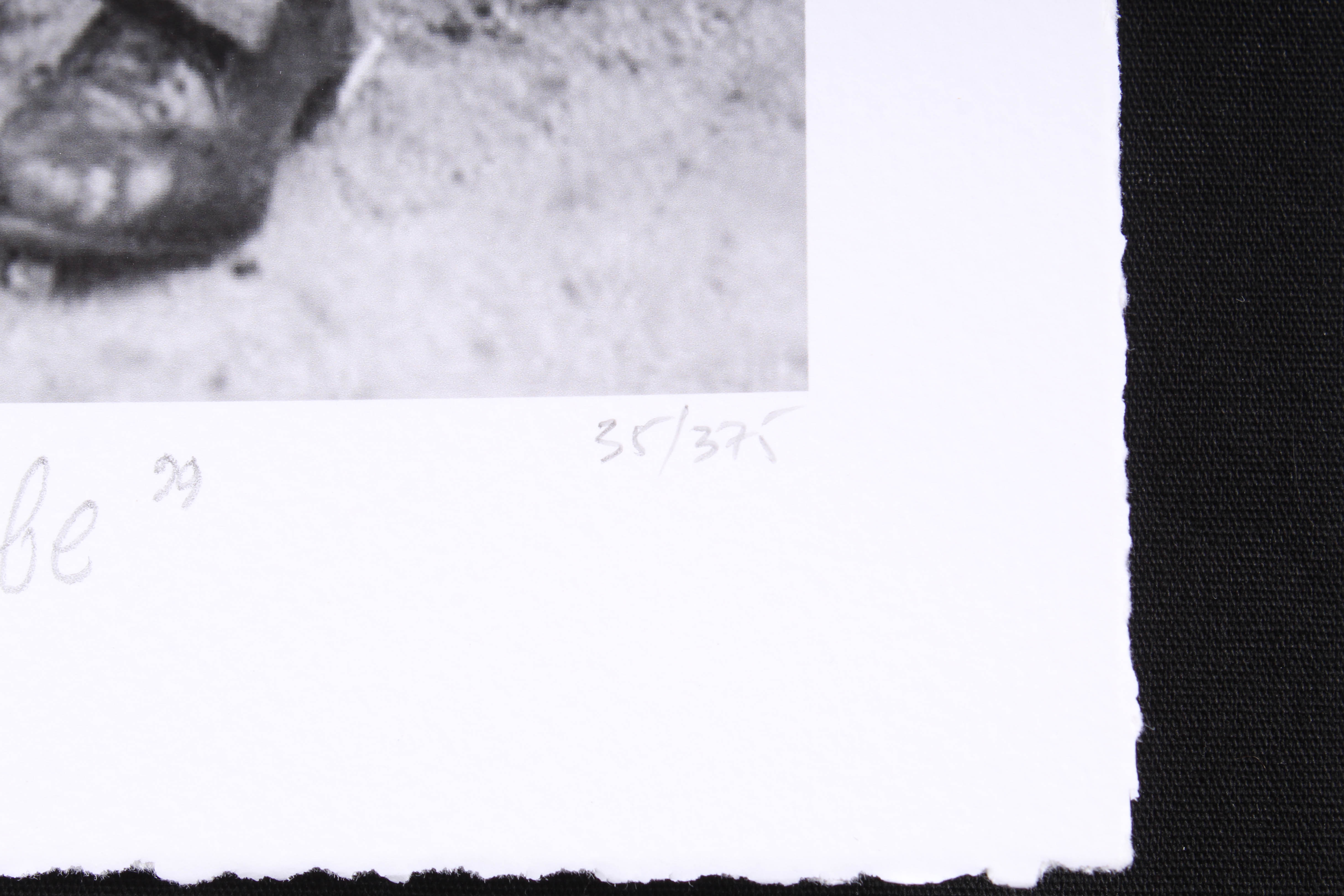 Historical Photo Archive - Babe Ruth & Joe Jackson "Shoeless Joe” & The ...