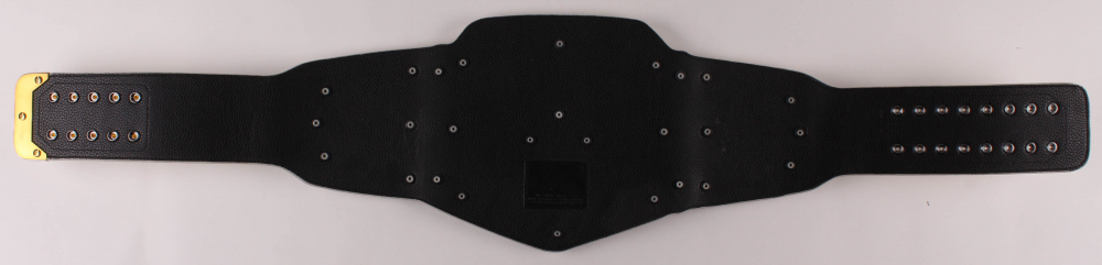 The Rock & Paige Signed WWE Women's Wrestling Championship Belt ...