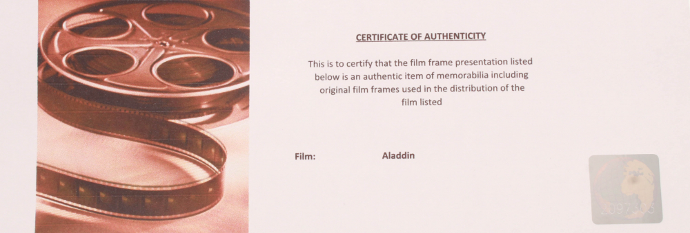 "Aladdin" LE 8x10 Custom Matted Original Film / Movie Cell Display ...