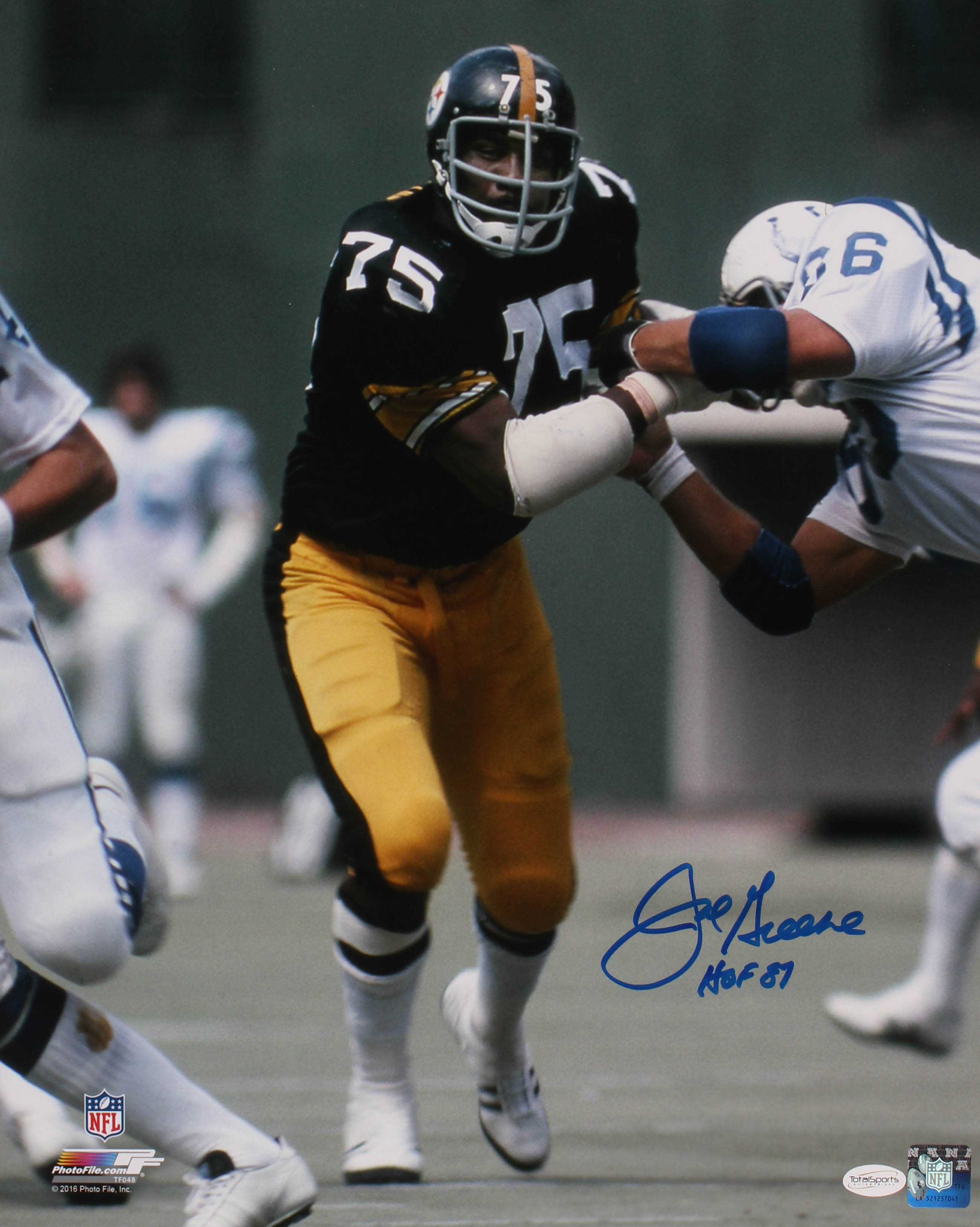 Joe Greene Signed Steelers 16x20 Photo Inscribed "HOF 87" (TSE COA ...