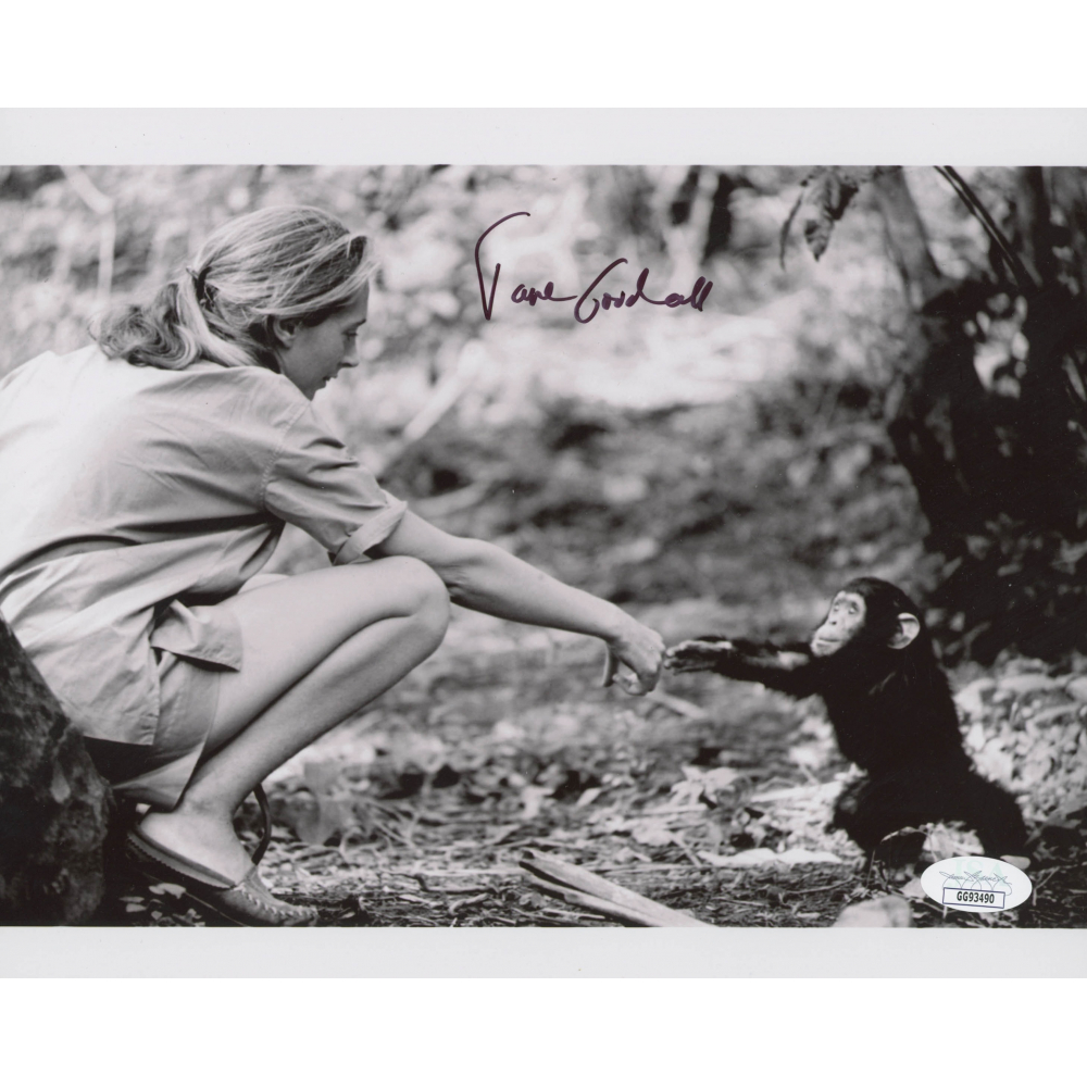 Jane Goodall Signed 8x10 Photo (JSA COA) | Pristine Auction