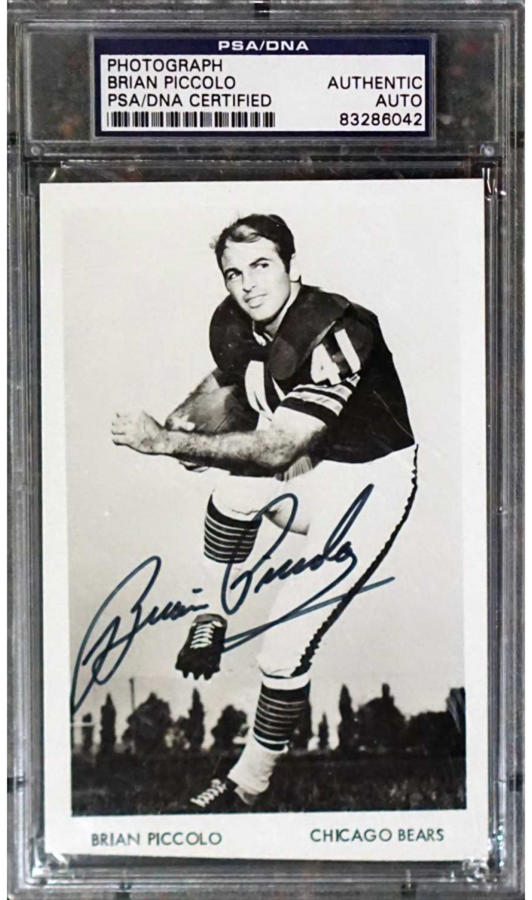 Brian Piccolo Signed Bears 3.5x5.5 Photo (PSA Encapsulated) | Pristine ...