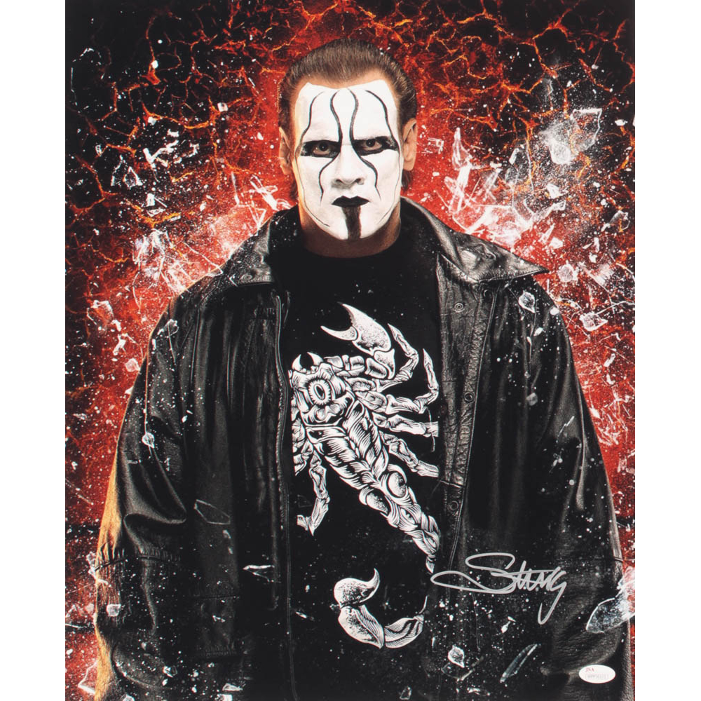 Sting Signed WWE 16x20 Photo (JSA COA) | Pristine Auction