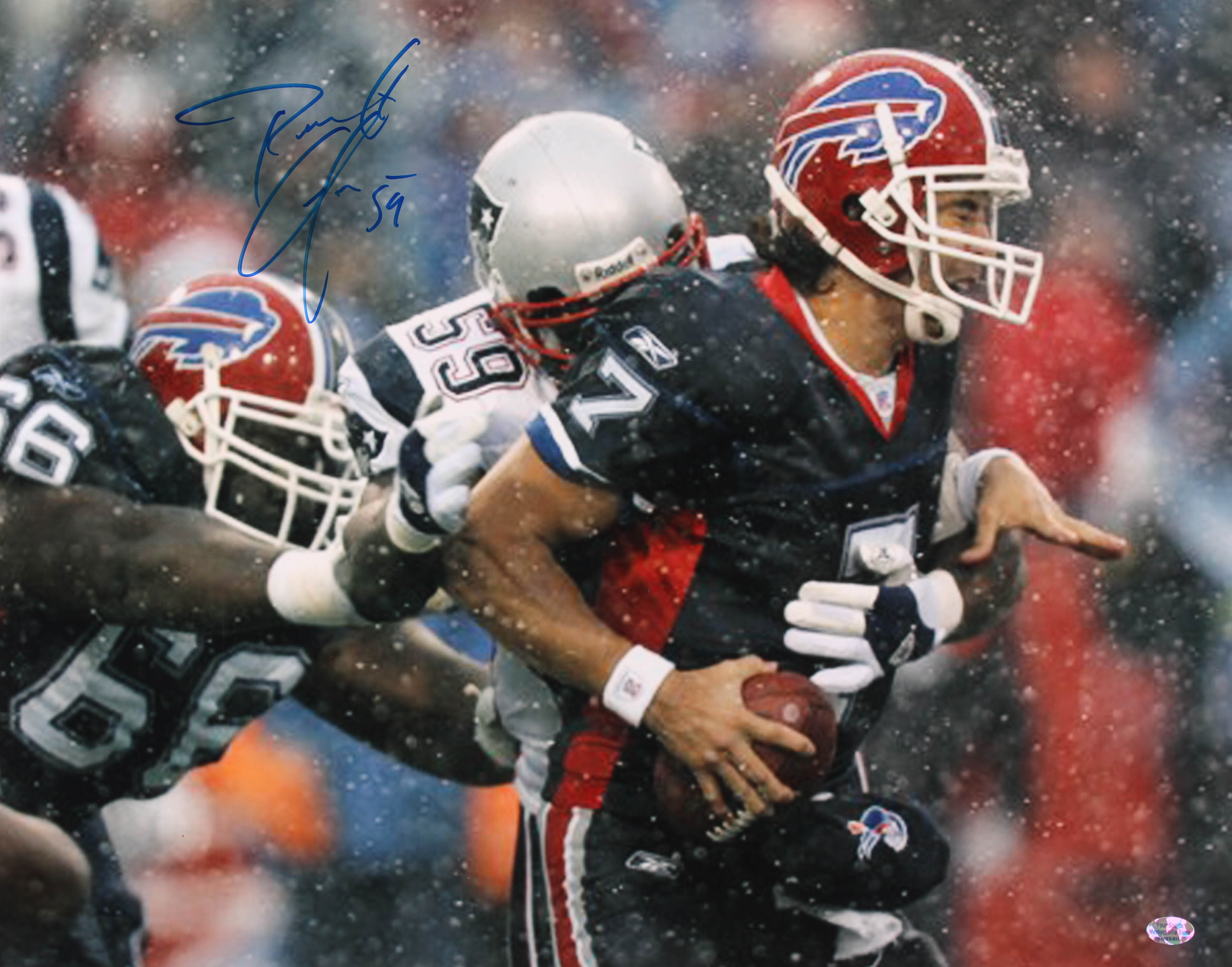 Rosevelt Colvin Signed Patriots 16x20 Photo (Your Sports Memorabilia ...