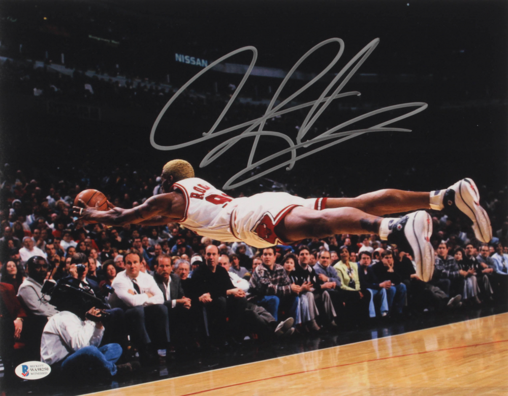 Dennis Rodman Signed Bulls 11x14 Photo (Beckett) | Pristine Auction