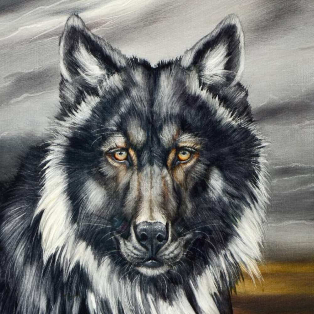 Martin Katon Signed "Black Wolf" 20x24 Original Oil Painting on Canvas ...