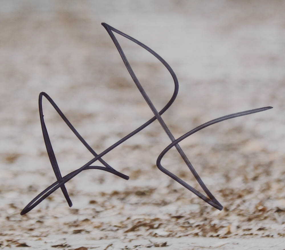 Andrew Lincoln Signed "The Walking Dead" 11x14 Photo (PSA COA ...