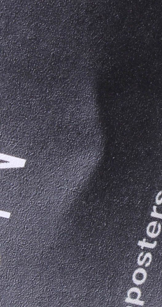 Susan Backlinie Signed "Jaws" 24x36 Movie Poster Inscribed "Chrissie ...