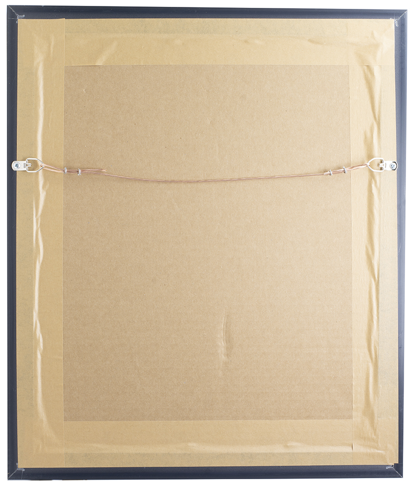 United States Marine Corps Custom Framed Photo Display | Pristine Auction