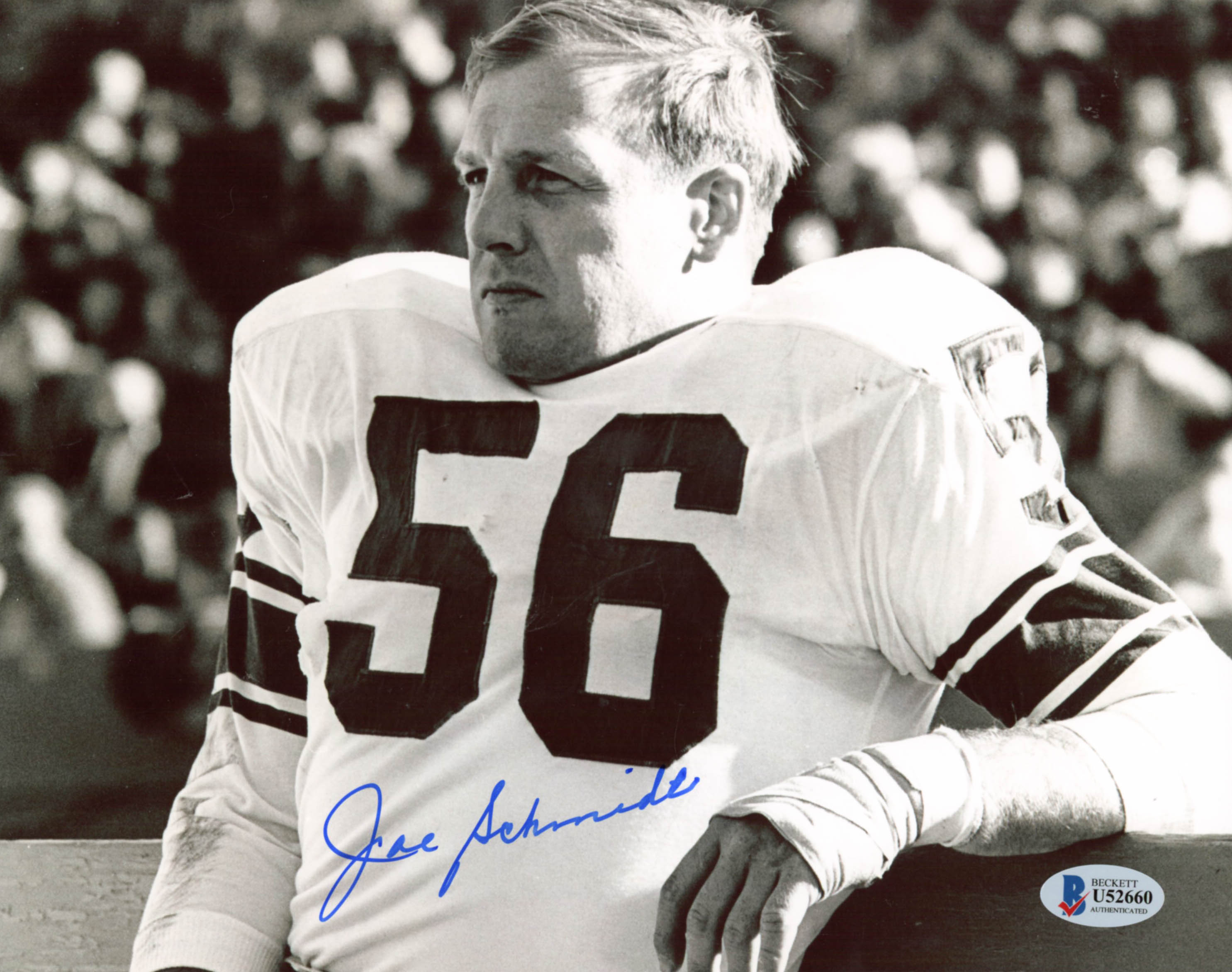 Joe Schmidt Signed Lions 8x10 Photo (Beckett COA) | Pristine Auction