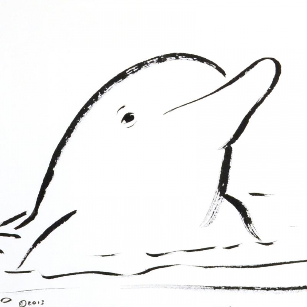 Wyland Signed Custom Framed "Dolphin" Original 15" x 11.5" Sumi Ink ...