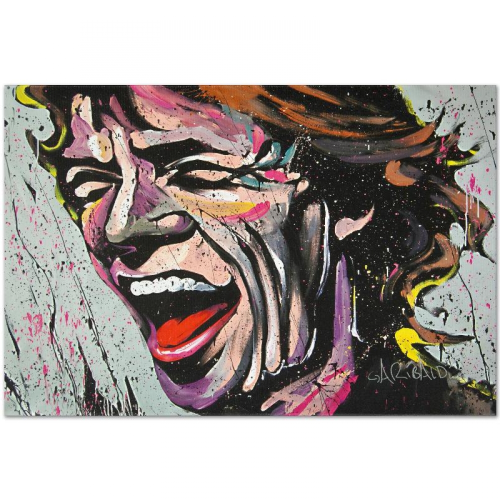 David Garibaldi Signed "Mick Jagger" Limited Edition 60" x 48" Giclee ...