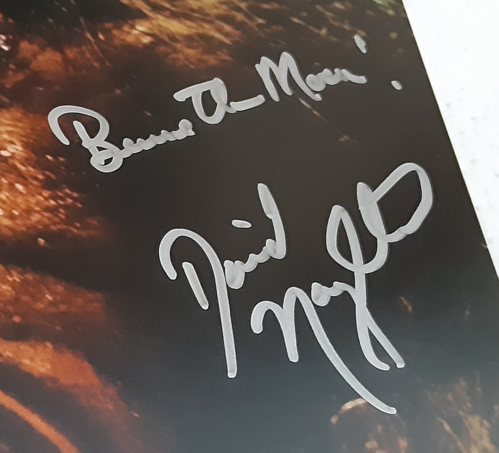 David Naughton Signed "An American Werewolf In London" 11x17 Movie ...
