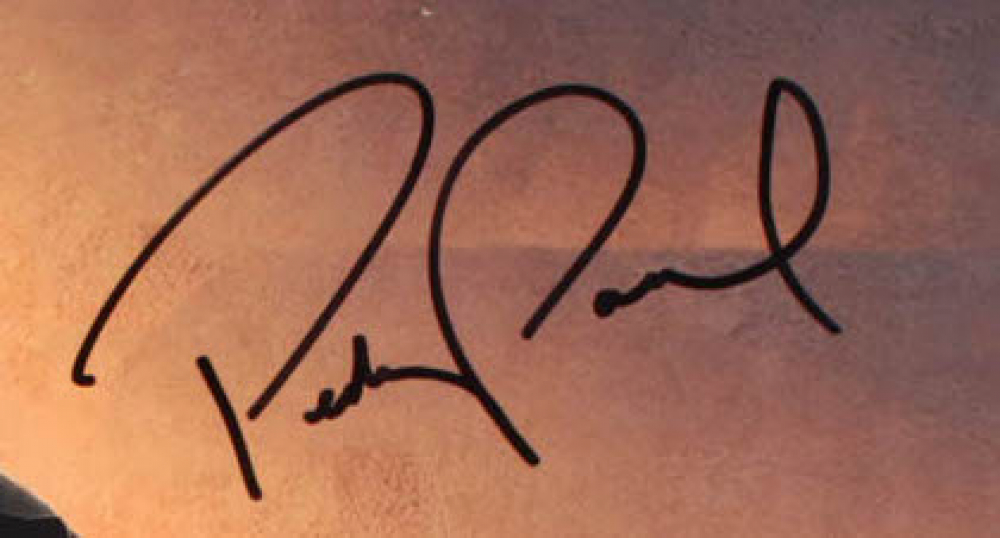 Pedro Pascal Signed "The Mandalorian" 16x20 Photo (Beckett COA ...