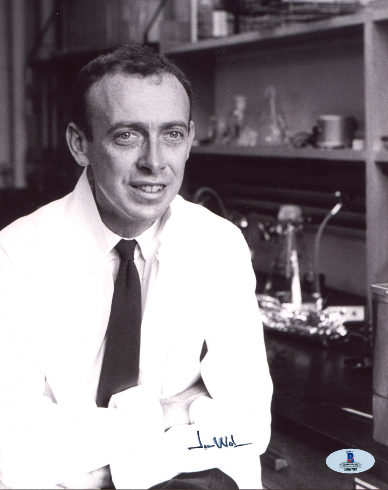 James Watson Signed 8x10 Photo (Beckett COA) | Pristine Auction
