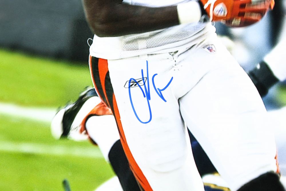 Chad Johnson Signed Bengals 16x20 Photo (JSA COA) | Pristine Auction