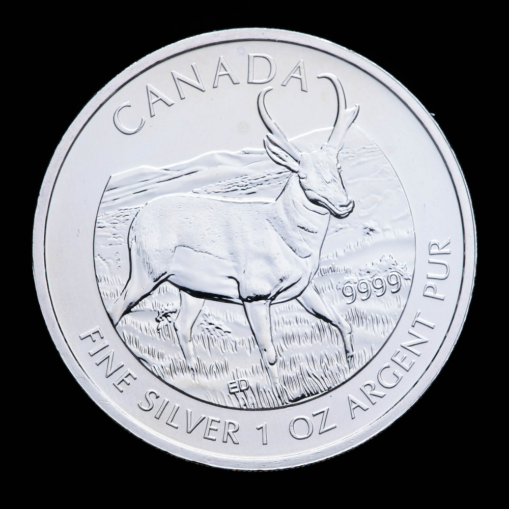 2013 5 Canadian 1 Oz 999 Fine Silver Coin Pristine Auction 2013-5-canadian-1-oz-999-fine-silver-coin-pristine-auction