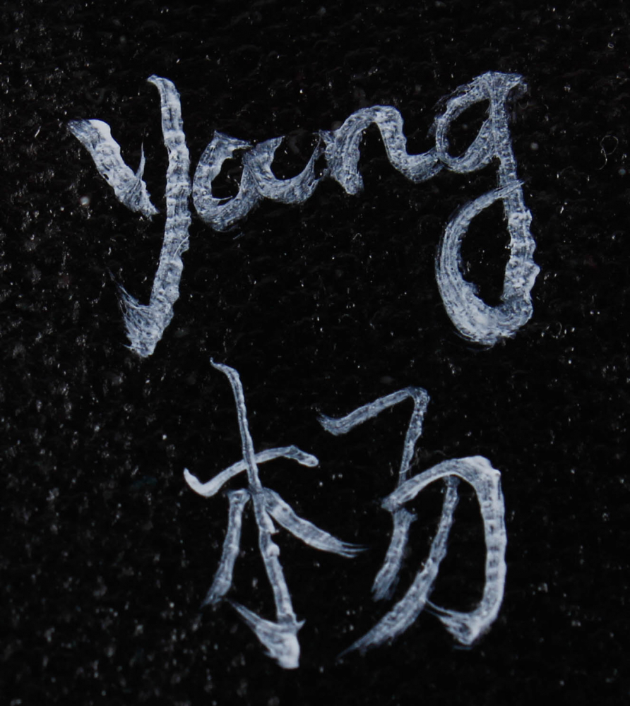 Rodney Weng Signed “Peaceful Warrior” 26x36 Original Oil Painting on ...