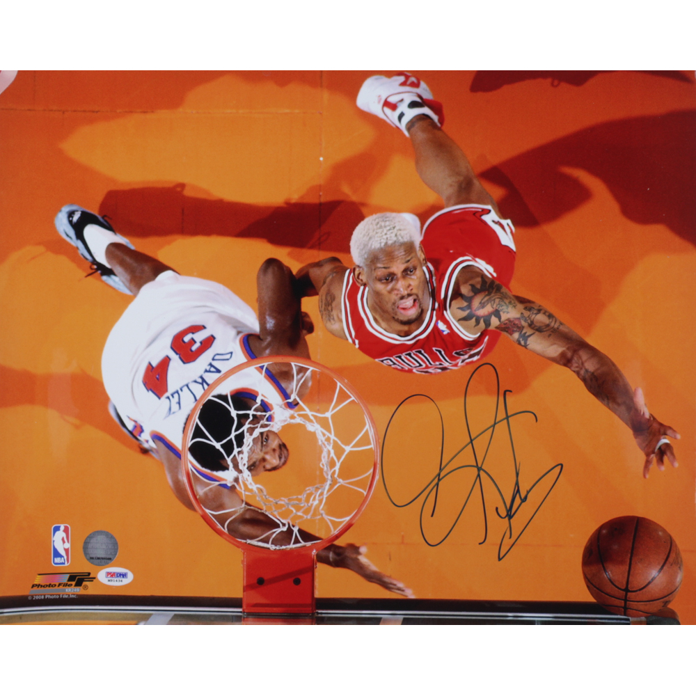 Dennis Rodman Signed Bulls 16x20 Photo (PSA COA) | Pristine Auction